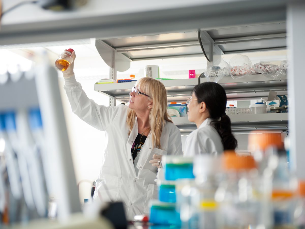 Amazon expands satellite manufacturing at newly acquired Project Kuiper facility - Greater ...